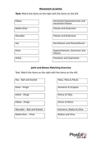 Gcse Pe Skeleton Skeletal System Unit Of Work Worksheet Powerpoint Exam Questions