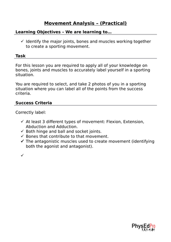 GCSE PE – Movement Analysis – Muscles, Bones and Joints Worksheet or ...