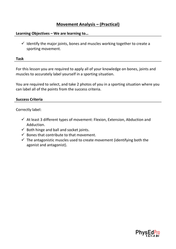 GCSE PE – Movement Analysis – Muscles, Bones and Joints Worksheet or ...