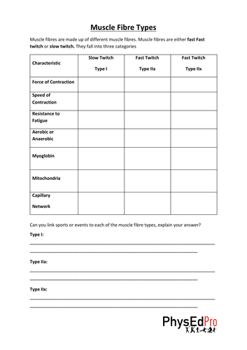 GCSE PE – Muscle Fibre Types - Worksheet or Homework Activity– IGCSE ...