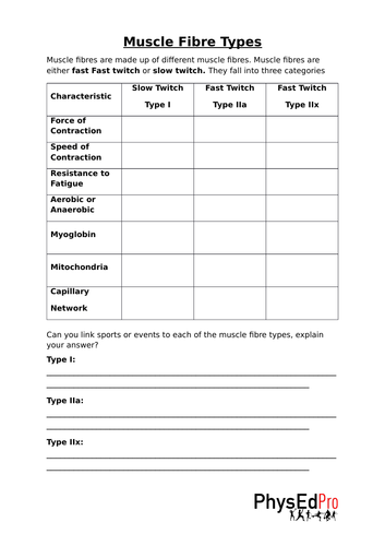 GCSE PE – Muscle Fibre Types - Worksheet or Homework Activity– IGCSE ...