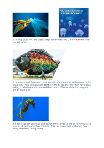 Plastic pollution - oceans | Teaching Resources