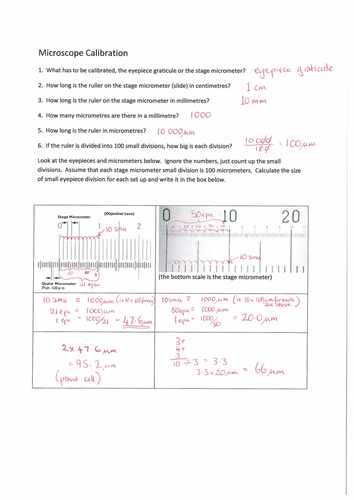 Microscope Calibration Practice Teaching Resources