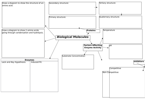 Biological Molecules Part 2 Revision Mat for AQA A Level Biology ...