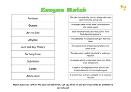 Enzyme Match | Teaching Resources