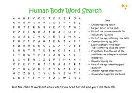 Human Body Word Search | Teaching Resources