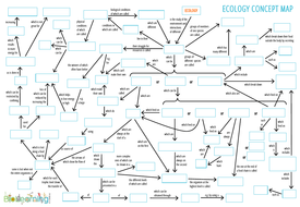 Ecology - Concept map (KS3/KS4) | Teaching Resources