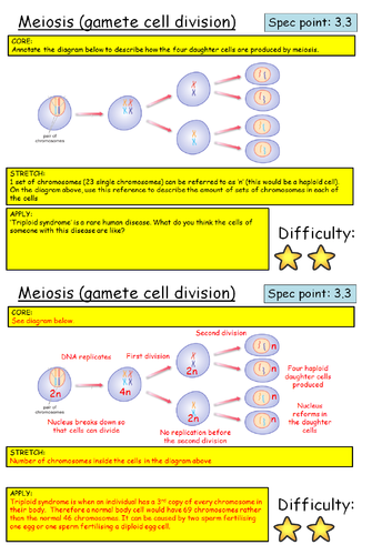 Edexcel (9-1) topic 3 (Genetics) revision cards | Teaching Resources