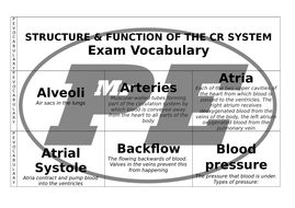 DEFINITION CARDS Structure & Function of the CR System | Teaching Resources