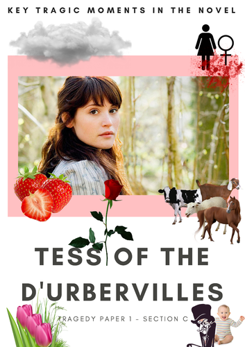 TESS OF THE D'URBERVILLES PLOT REVISION | Teaching Resources