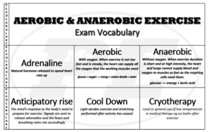 DEFINITION CARDS Aerobic & Anaerobic Exercise | Teaching Resources
