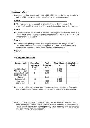 Microscopy Worksheet and Mark Scheme | Teaching Resources