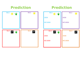 KS1 Cress growing experiement. | Teaching Resources