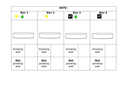 KS1 Cress growing experiement. | Teaching Resources