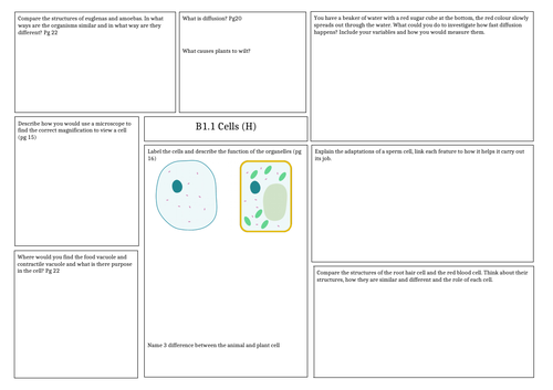 Revision mat: Activate 1 - B1 Cells | Teaching Resources