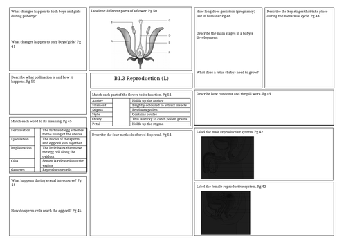Revision mat: Activate 1 - Biology Reproduction | Teaching Resources
