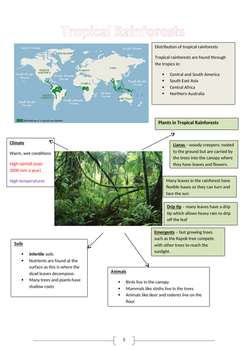 Tropical Rainforests Revision Booklet New AQA GCSE Geography 9-1 ...