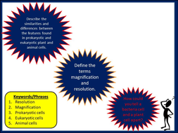 Cell Microscopy - Magnification And Resolution Activities | Teaching ...