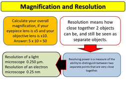 Cell Microscopy - Magnification And Resolution Activities | Teaching ...