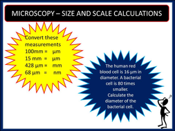 Cell Microscopy - Magnification And Resolution Activities | Teaching ...