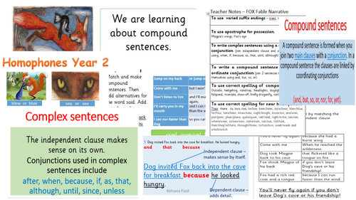 Fox by Margaret Wild SPAG Year 2 GrammarTAF | Teaching Resources