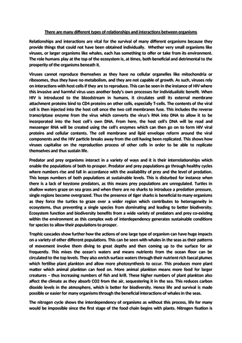 Top mark A-Level Biology Essay - Different types of relationships and ...