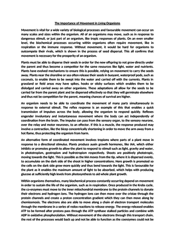 Top mark A-Level Biology Essays | Teaching Resources