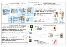 GCSE OCR PE Paper 1 Revision Cards | Teaching Resources