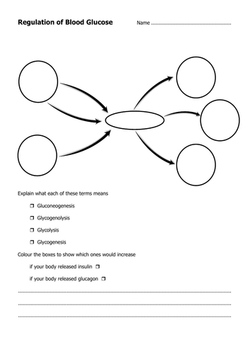 Regulation of blood glucose (A-level). 20 slide powerpoint, notes, two ...