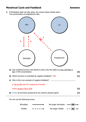Menstrual cycle (2 powerpoints, two worksheets, card sort) Post 16 ...