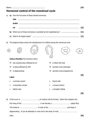Menstrual cycle (2 powerpoints, two worksheets, card sort) Post 16 ...