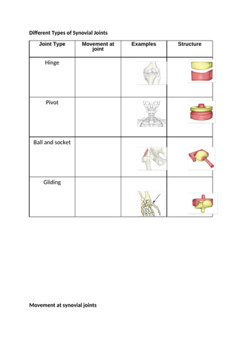 Skeleton joints | Teaching Resources