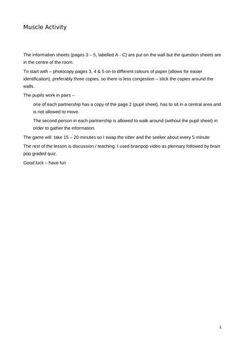 Muscles | Teaching Resources