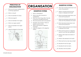 AQA Biology 9-1 GCSE Revision: ORGANISATION | Teaching Resources
