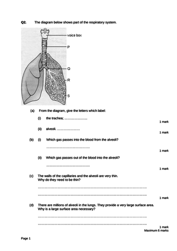 KS3 Smoking, Asthma and Gas Exchange | Teaching Resources