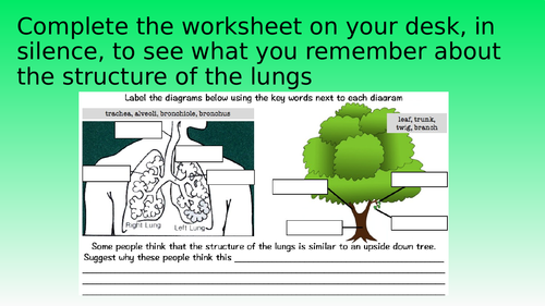 KS3 Smoking, Asthma and Gas Exchange | Teaching Resources