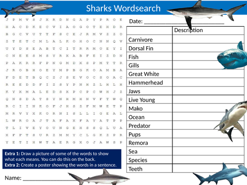 2 x Sharks Wordsearch Sheet Starter Activity Keywords Cover Animals ...