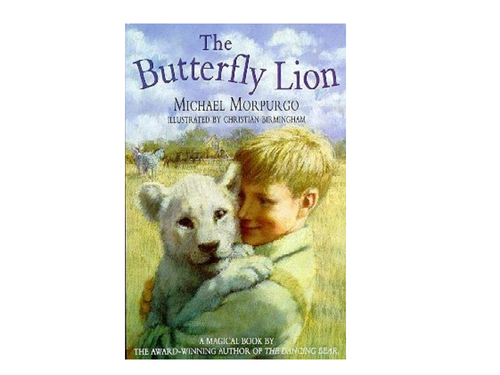 The Butterfly Lion Reading Comprehension | Teaching Resources