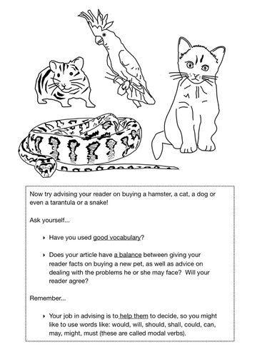 Practise Writing To Advise On Getting A Pet (9-14 years) | Teaching ...