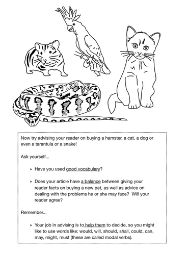 Advise And Write A Diary On Your New Pet (9-14 years) | Teaching Resources