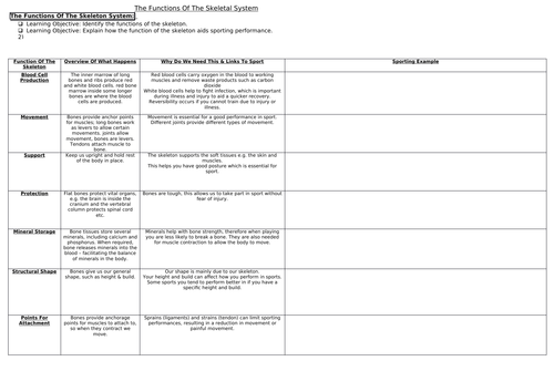 Aqa 9 1 Gcse Pe Functions Of The Skeleton Teaching Resources