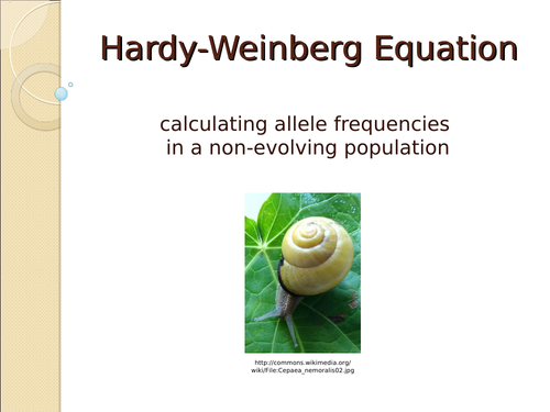 Hardy-Weinberg Principle (Powerpoint and three accompanying worksheets ...