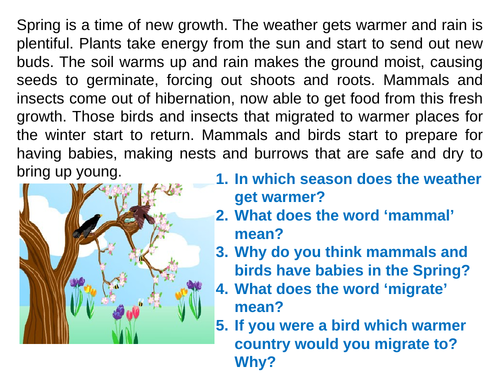 Seasons Reading Comprehension | Teaching Resources