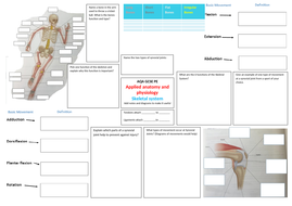 AQA GCSE PE - 2016 New Spec - Revision - 1.1 Skeletal system broadsheet ...