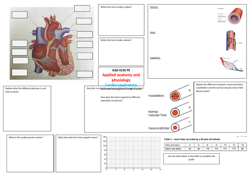 Aqa Gcse Pe 2016 New Spec Revision 1 3 Cardiovascular System