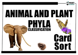 Animal and Plant Phyla Card Sort | Teaching Resources