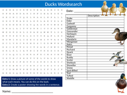 Ducks Wordsearch Sheet Starter Activity Keywords Animals Birds Nature ...