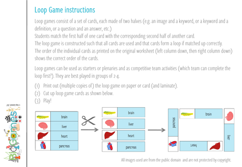 Genetic engineering - Loop Game (KS4) | Teaching Resources