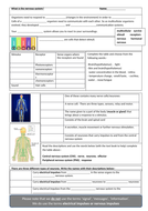 Nervous system, the brain and eye:-AQA GCSE Biology Revision Sheets on ...