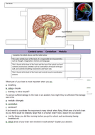 Nervous system, the brain and eye:-AQA GCSE Biology Revision Sheets on ...